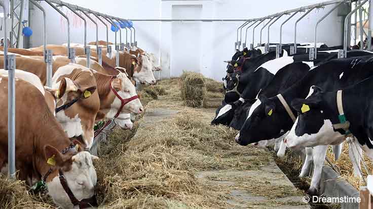 DVO installs anaerobic digester in China - Waste Today