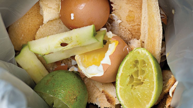 Chipotle pledges to divert food waste from landfill - Waste Today