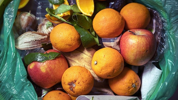 ReFED and Upcycled Food Association launch Food Waste Funder Circle ...